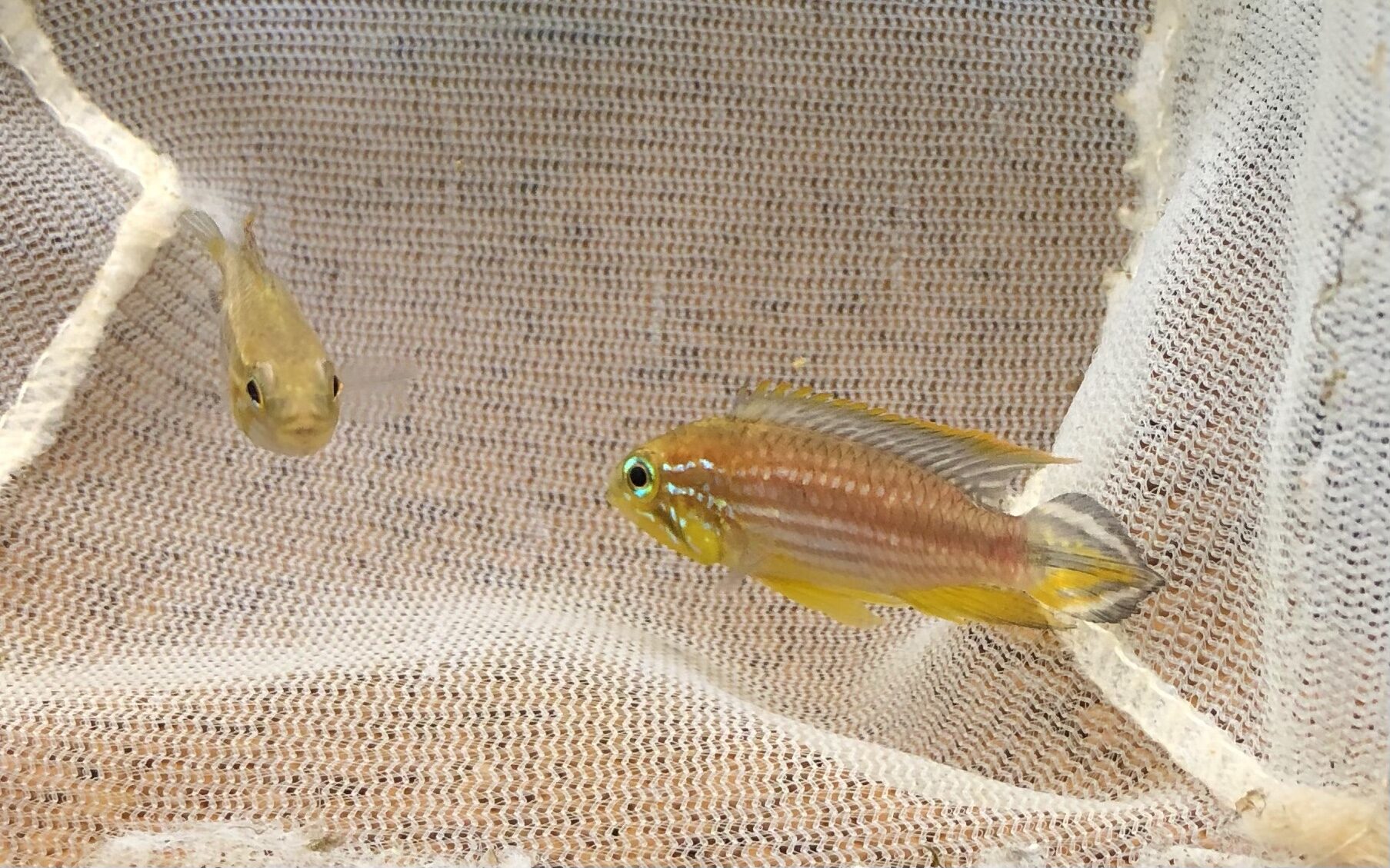 img_9783 – AQUA GALLERY GINZA