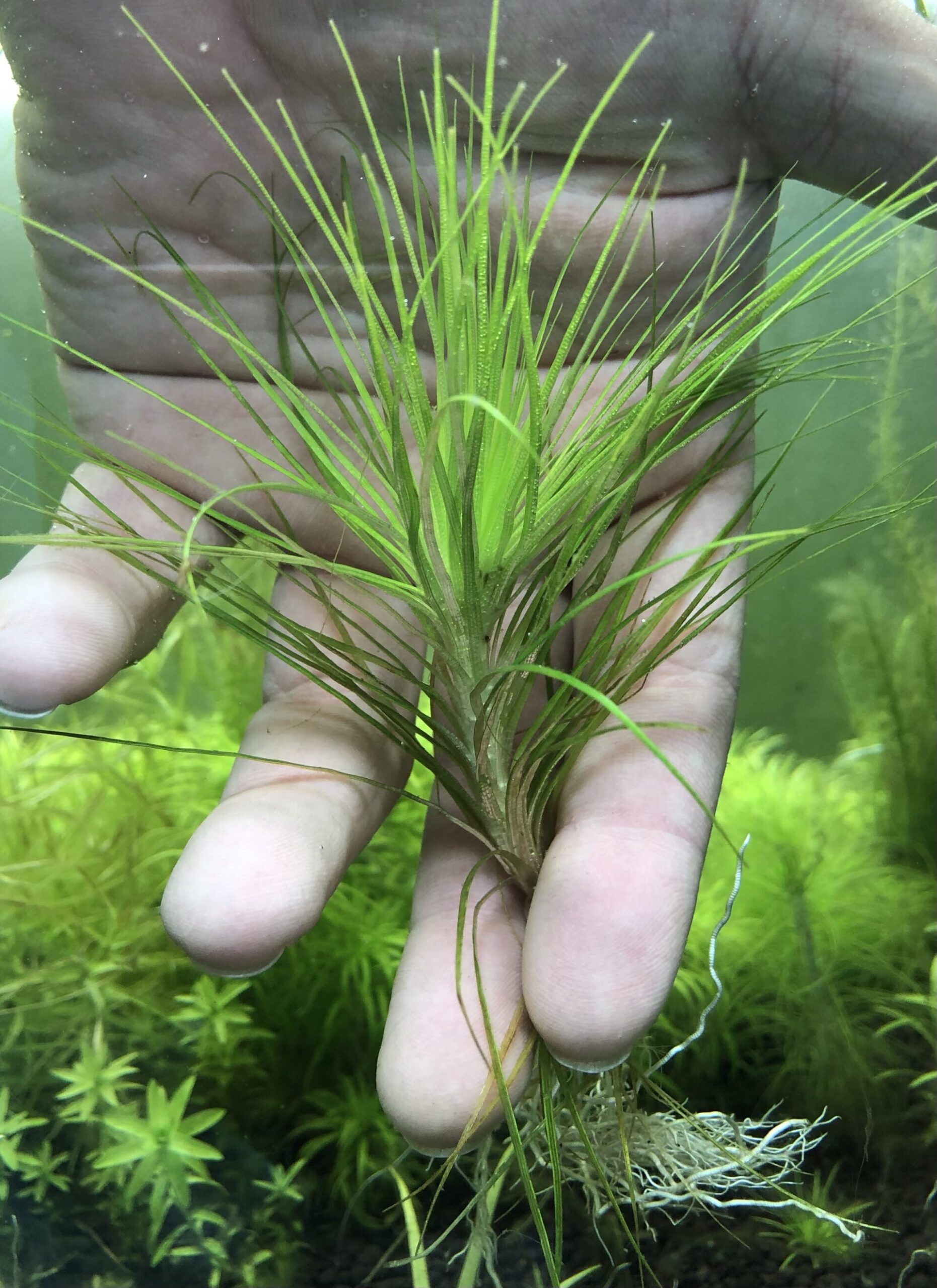 img_9880 – AQUA GALLERY GINZA